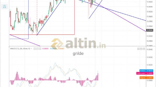 Hamit Altın'ın fiyatı ve satış fiyatları grafiği